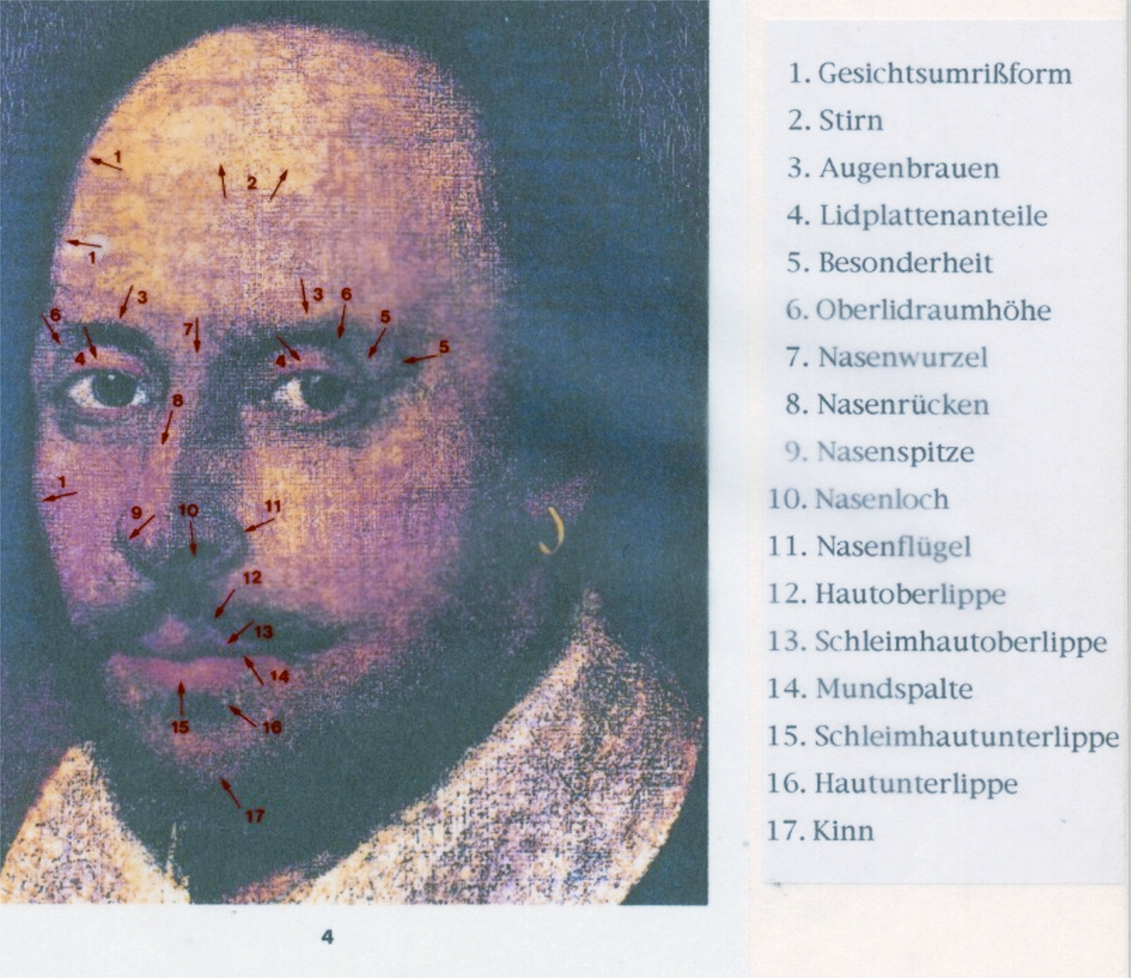 Authentic Images of Shakespeare